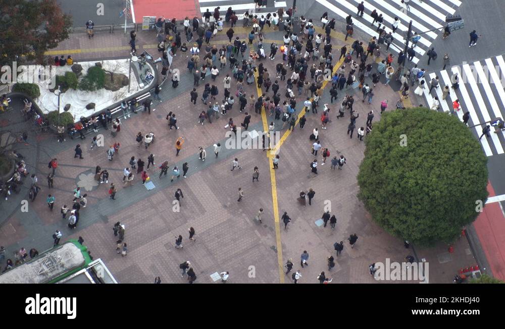 Shibuya station aerial Stock Videos & Footage - HD and 4K Video Clips ...