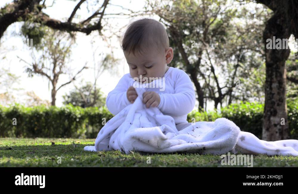 Boy learning about nature Stock Videos & Footage - HD and 4K Video ...