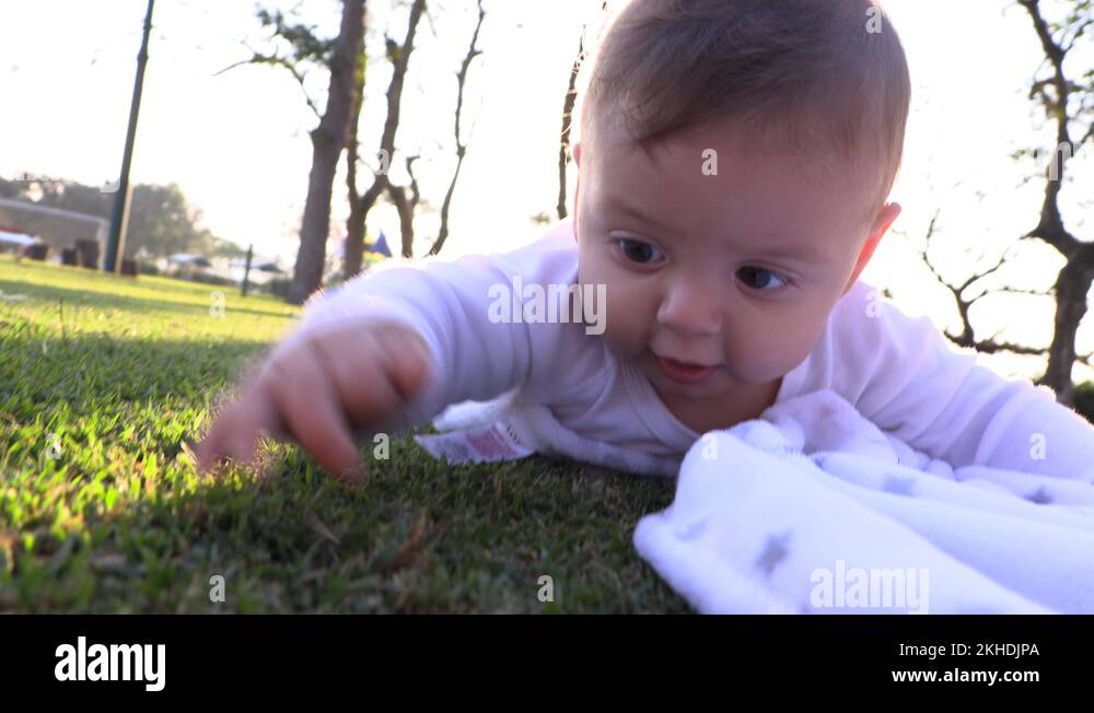 Baby child touching grass in park feeling the ground earthing Stock ...
