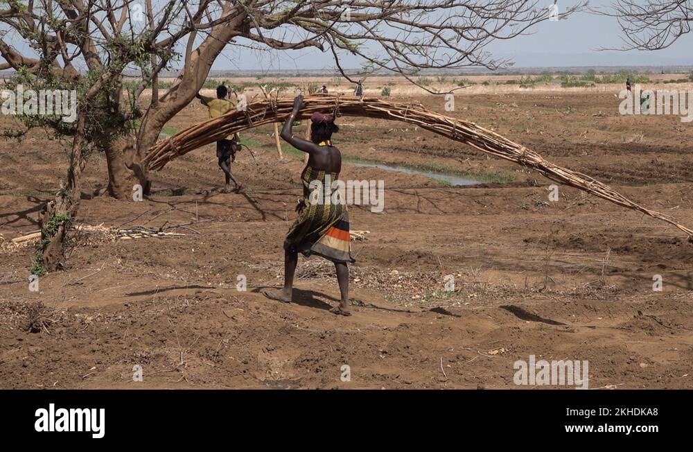 Tribal labor Stock Videos & Footage - HD and 4K Video Clips - Alamy