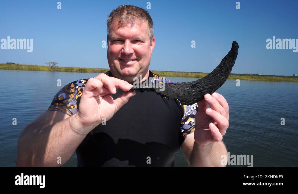 Megalodon hunting Stock Videos & Footage - HD and 4K Video Clips - Alamy