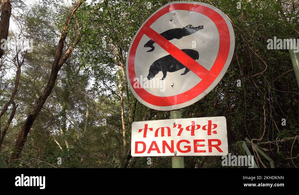 Wildlife warning sign Stock Videos & Footage - HD and 4K Video Clips ...