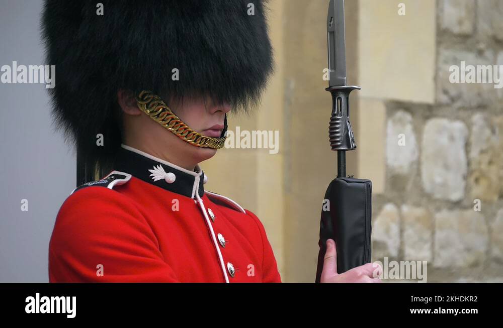 Iconic british portrait Stock Videos & Footage - HD and 4K Video Clips ...