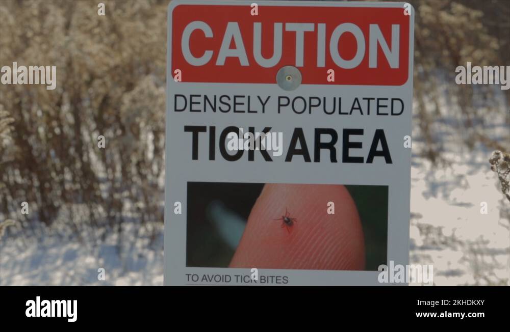 Tick Lyme disease sign in the forest. Warning sign of ticks that can ...