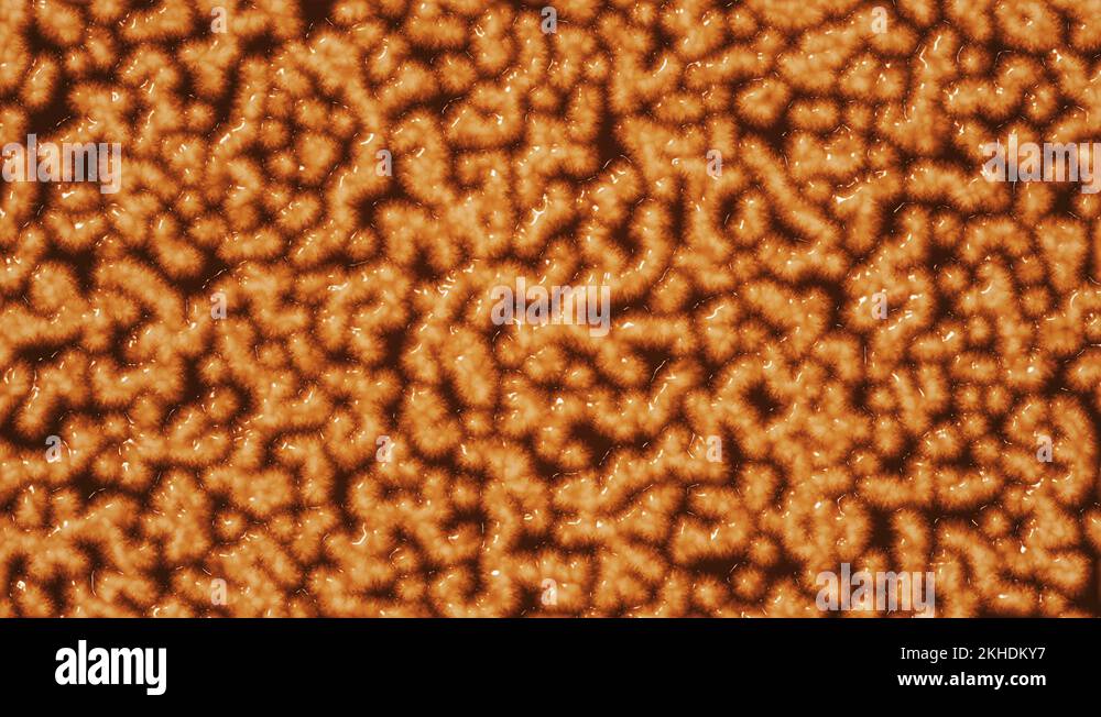 Slime bacteria Stock Videos & Footage - HD and 4K Video Clips - Alamy