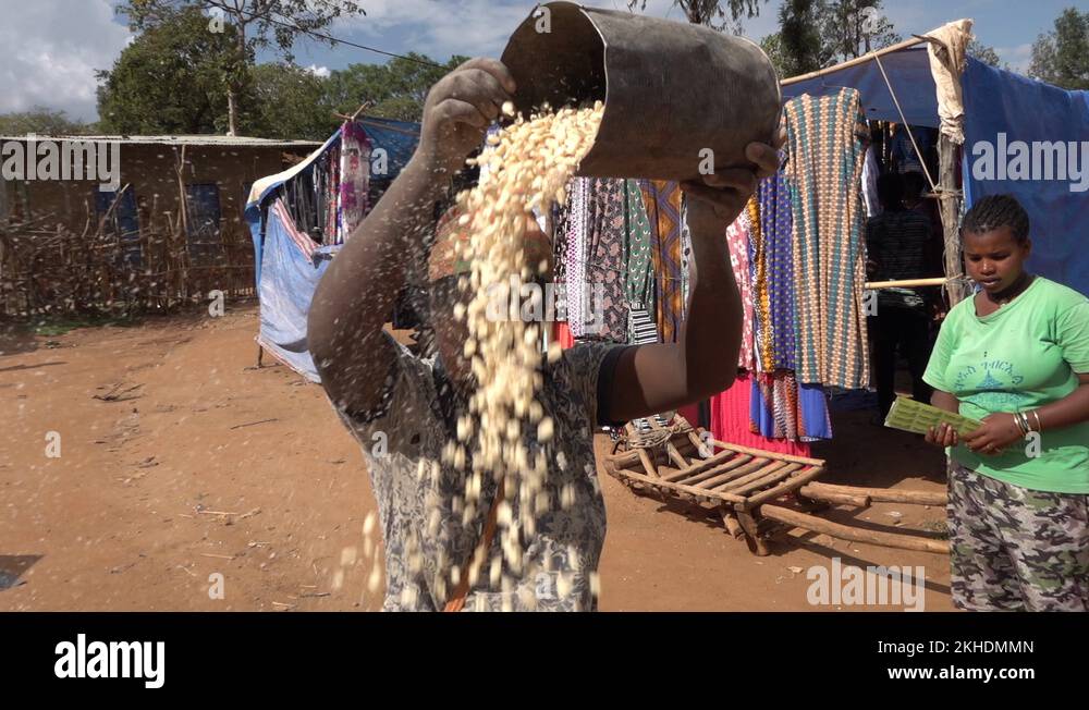 Corn farmers africa Stock Videos & Footage - HD and 4K Video Clips - Alamy