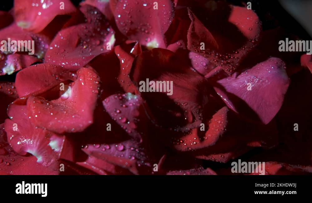 Dew symbol Stock Videos & Footage - HD and 4K Video Clips - Alamy