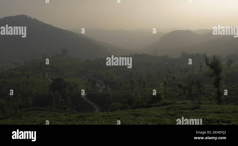 Munnar farming Stock Videos & Footage - HD and 4K Video Clips - Alamy