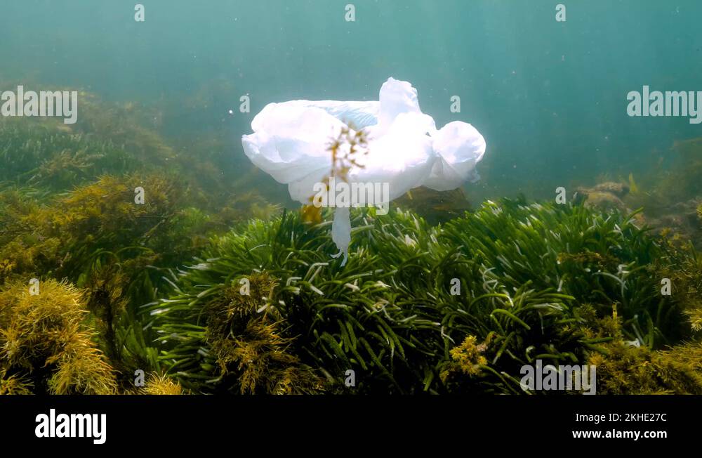 Single use plastic ocean Stock Videos & Footage - HD and 4K Video Clips ...