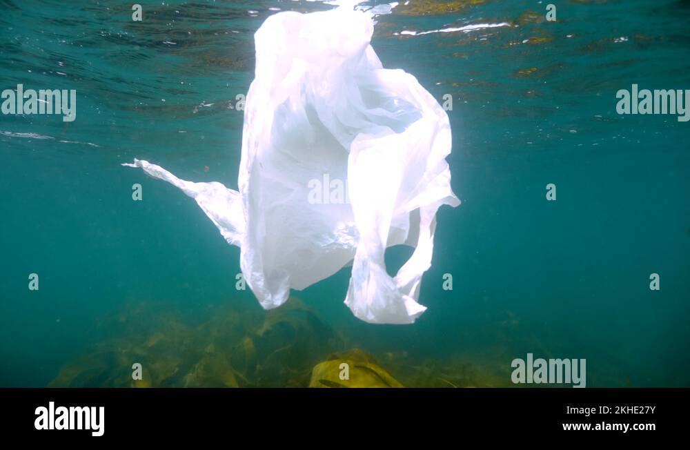 Single use plastic bag in the ocean Stock Video Footage - Alamy