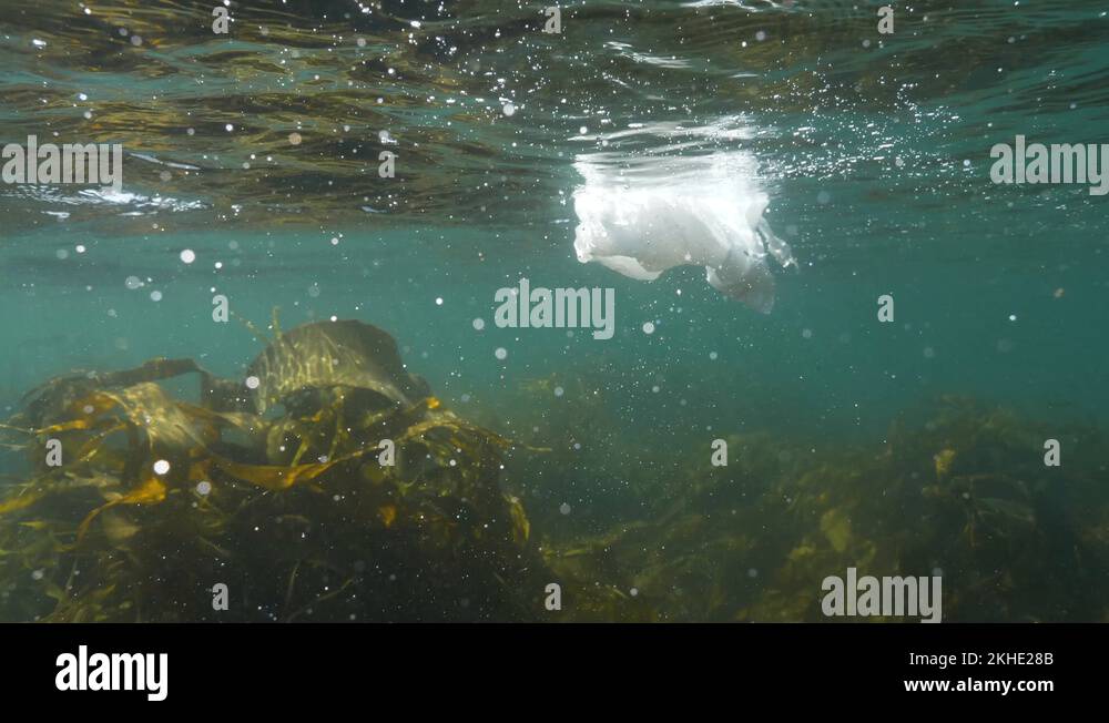 Single use plastic bag in the ocean Stock Video Footage - Alamy