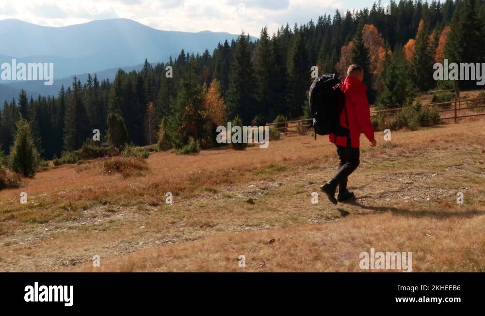 Man autumn forest Stock Videos & Footage - HD and 4K Video Clips - Alamy