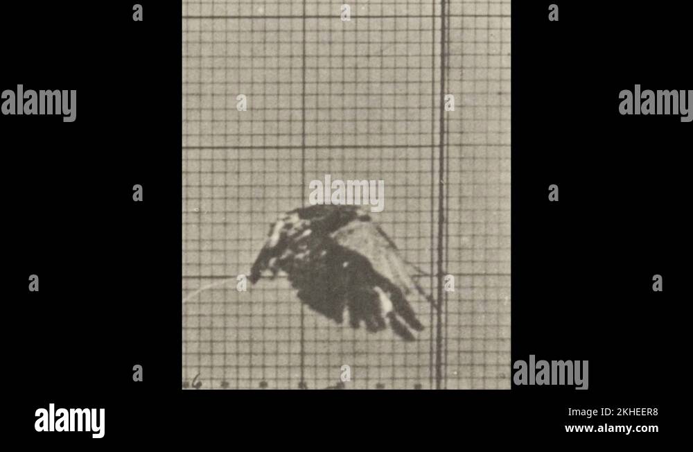 Stop-Motion Sequence of Red-Tailed Hawk Flying Stock Video Footage - Alamy