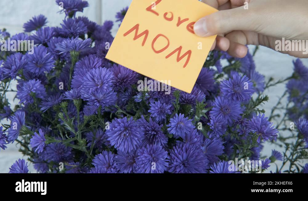 Mum symbol Stock Videos & Footage - HD and 4K Video Clips - Alamy