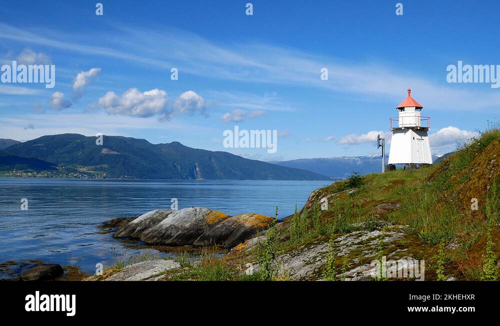 Maritime moss Stock Videos & Footage - HD and 4K Video Clips - Alamy