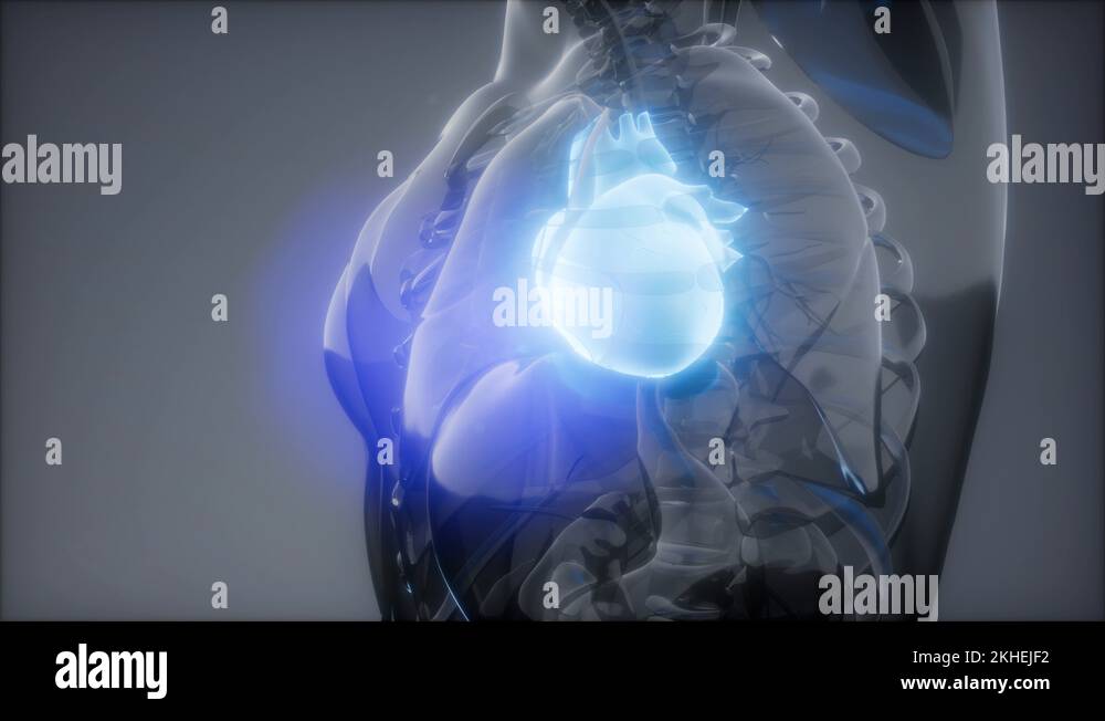 Eating human heart Stock Videos & Footage - HD and 4K Video Clips - Alamy