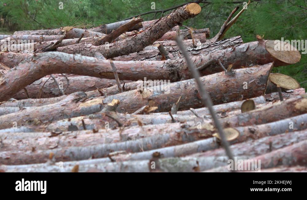 Lycianway Stock Videos & Footage - HD and 4K Video Clips - Alamy