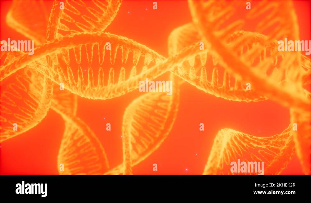 Structure Of The Dna Double Helix Animation Stock Video Footage Alamy