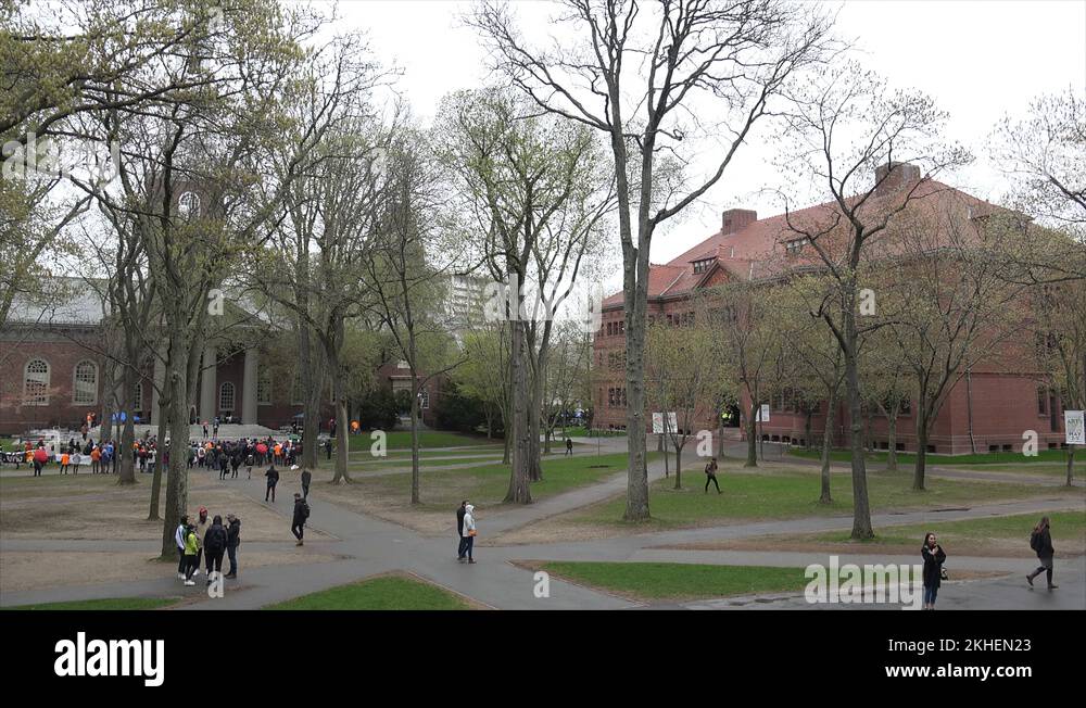 Harvard memorial hall Stock Videos & Footage - HD and 4K Video Clips ...