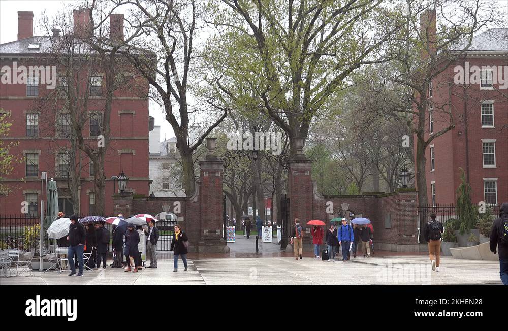 Harvard yard gate Stock Videos & Footage - HD and 4K Video Clips - Alamy