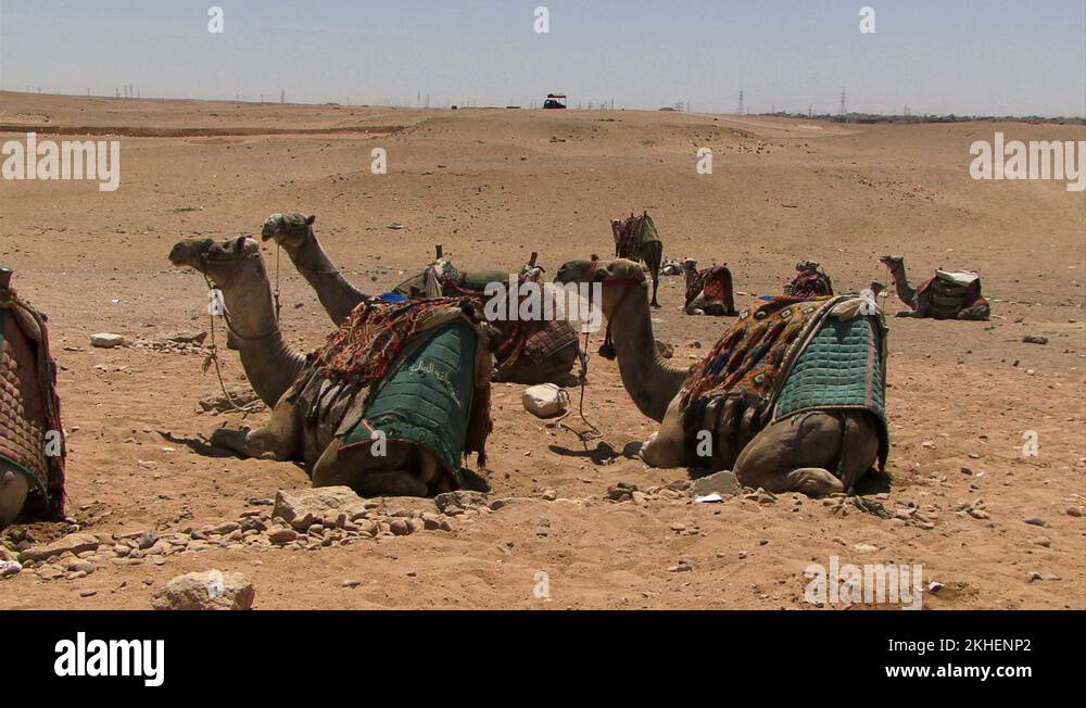 Hump of sand Stock Videos & Footage - HD and 4K Video Clips - Alamy