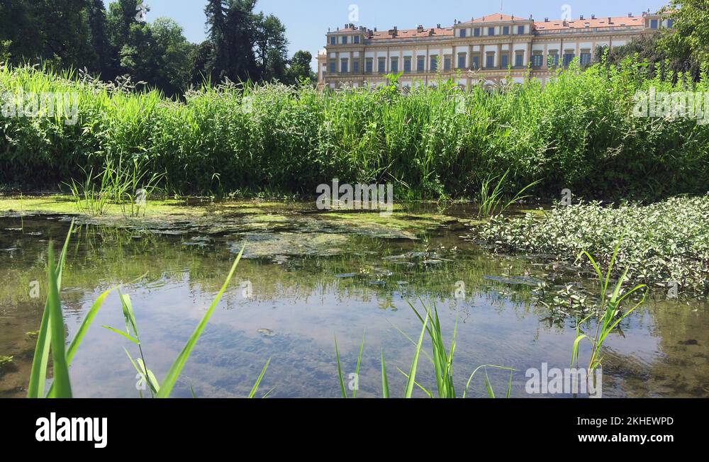 Insect palace Stock Videos & Footage - HD and 4K Video Clips - Alamy