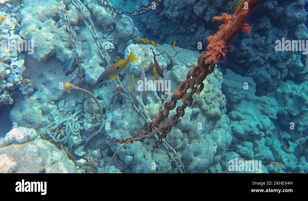 World ocean floor panorama Stock Videos & Footage - HD and 4K Video ...