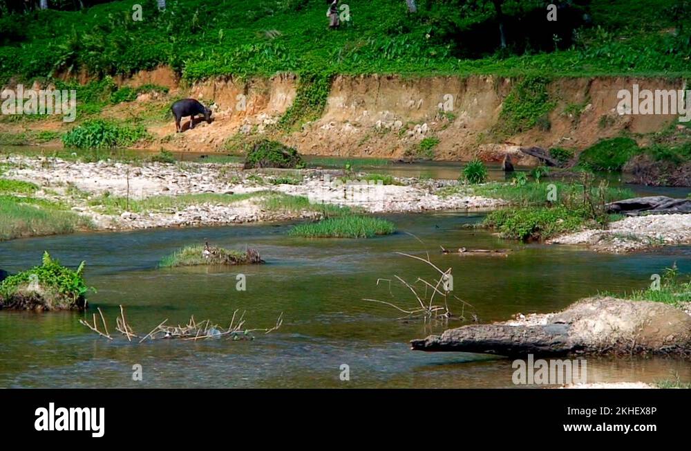 River dries out during dry season in the Philippines Stock Video ...
