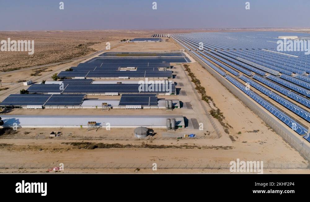 Plant israel Stock Videos & Footage - HD and 4K Video Clips - Alamy