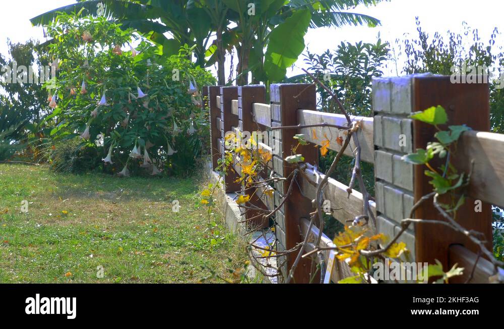 Funnelform Stock Videos & Footage - HD and 4K Video Clips - Alamy