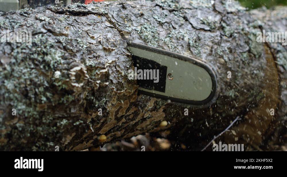 Log cut in half Stock Videos & Footage - HD and 4K Video Clips - Alamy