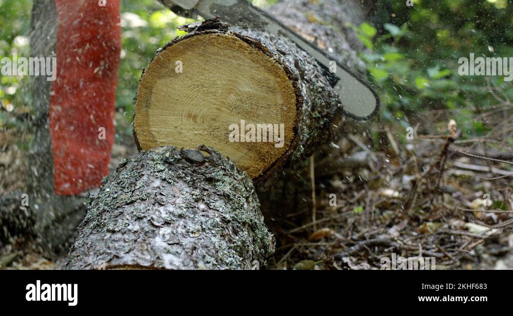 Lumber digging Stock Videos & Footage - HD and 4K Video Clips - Alamy