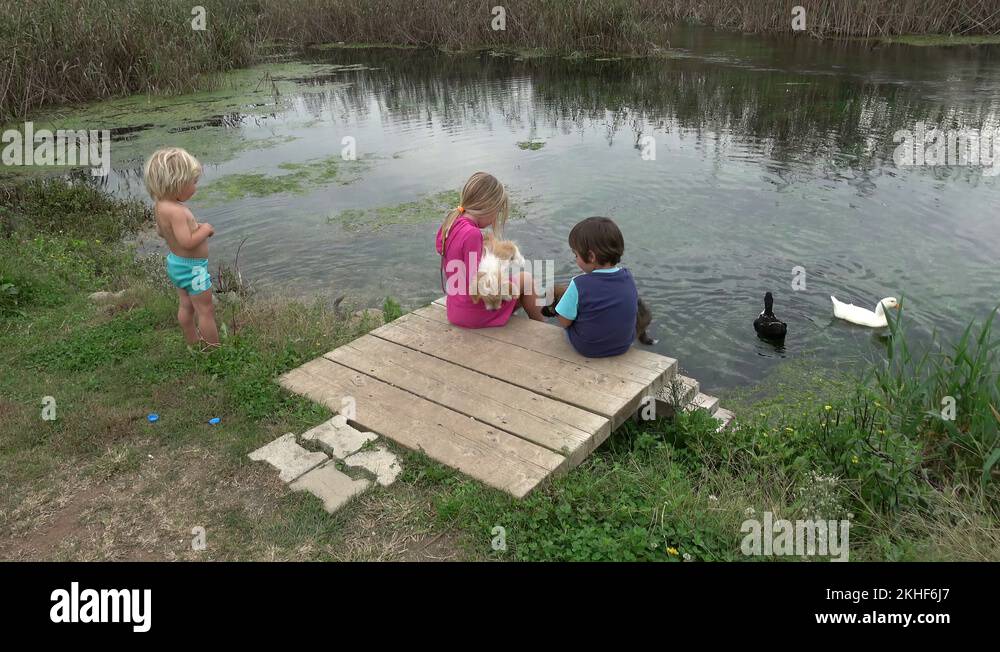 Riverside animals Stock Videos & Footage - HD and 4K Video Clips - Alamy