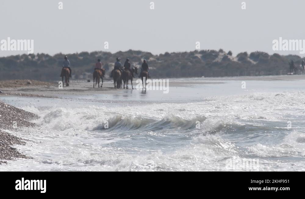 Camargue beach Stock Videos & Footage - HD and 4K Video Clips - Alamy
