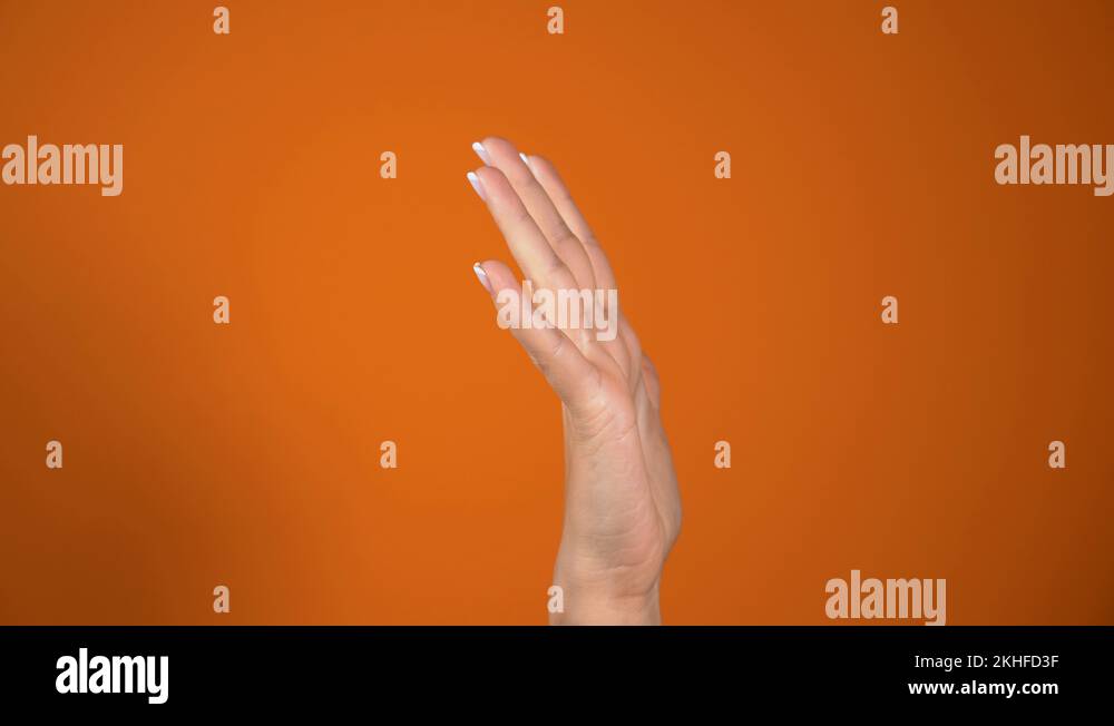 Women hand palm up Stock Videos & Footage - HD and 4K Video Clips - Alamy