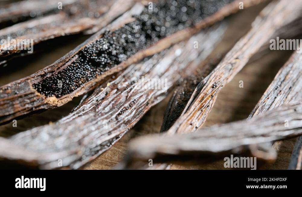 Shooting sticks Stock Videos & Footage - HD and 4K Video Clips - Alamy