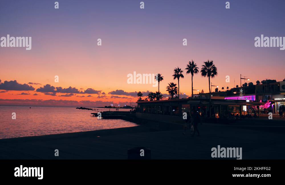 Silhouettes of palms at orange and violet sunset sky background on ...
