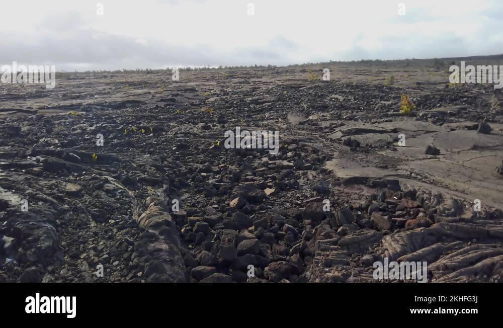 Dried Lava field at Hawaii Volcanoes National Park,Big Island,Hawaii ...