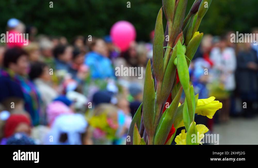 Primary and elementary school children and parents with bouquets of ...