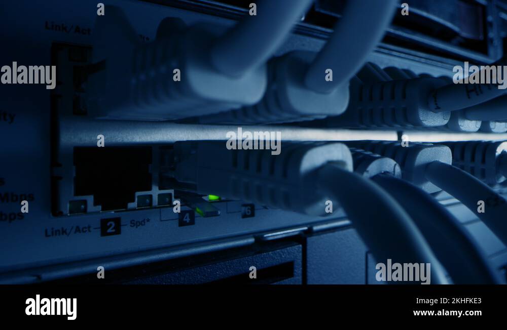 Close-up Macro Shot: Ethernet Cables Connected to Router Ports. Data Center Stock Video Footage ...