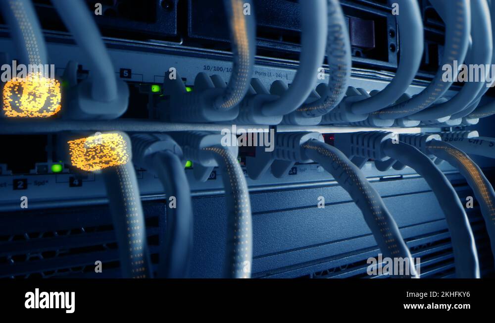 Ethernet Cables Connected to Modem with Digital Binary Code Streaming Data Stock Video Footage ...