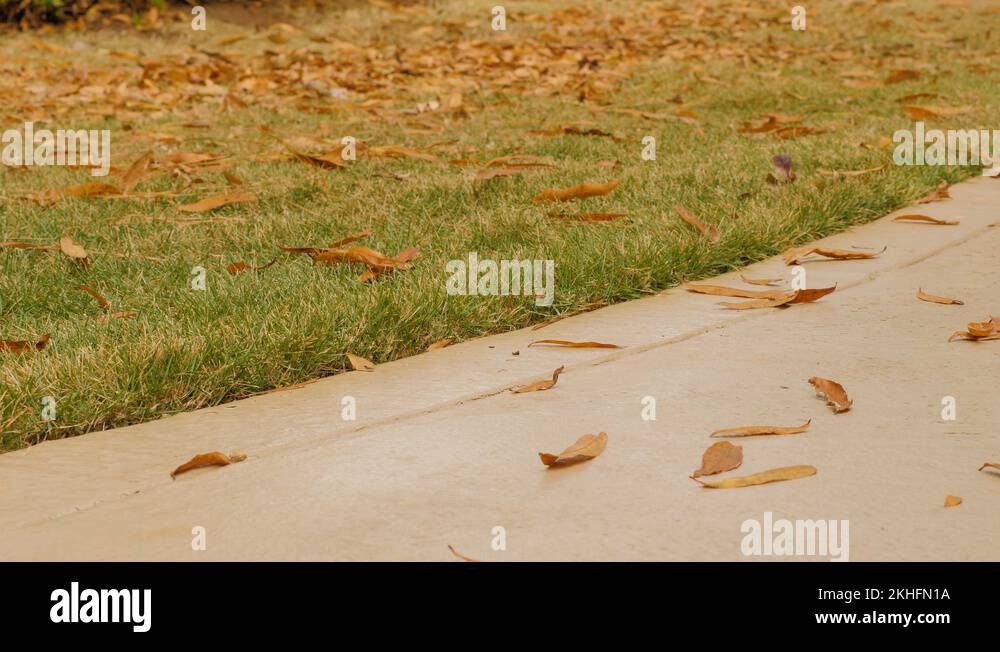 Trimming and edging tool Stock Videos & Footage - HD and 4K Video Clips ...