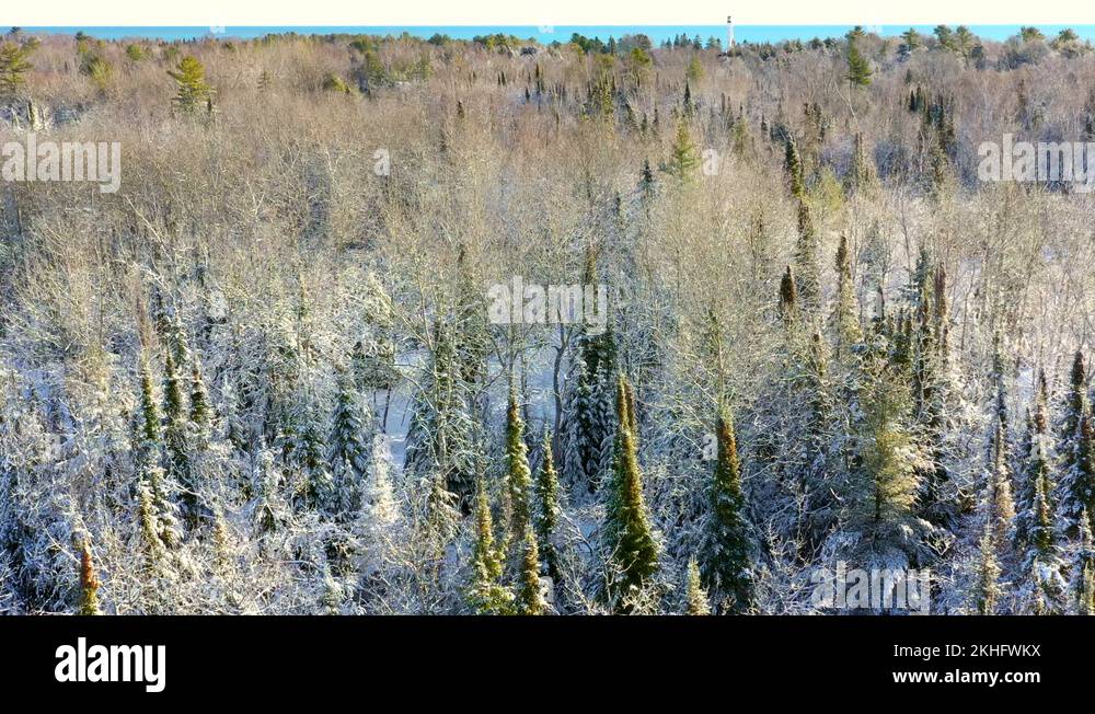 Preserve forests Stock Videos & Footage - HD and 4K Video Clips - Alamy