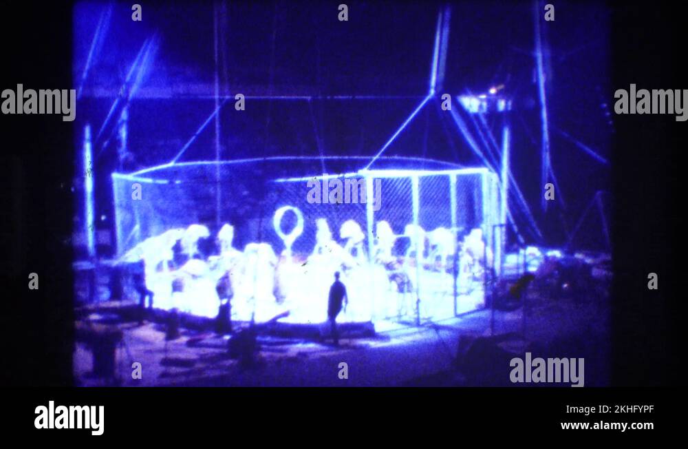 Circus lion hoop Stock Videos & Footage - HD and 4K Video Clips - Alamy