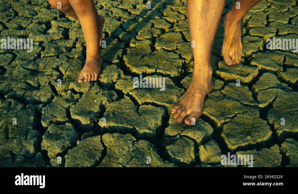 child and adult walk barefoot on dry cracked mud ground Stock Video ...