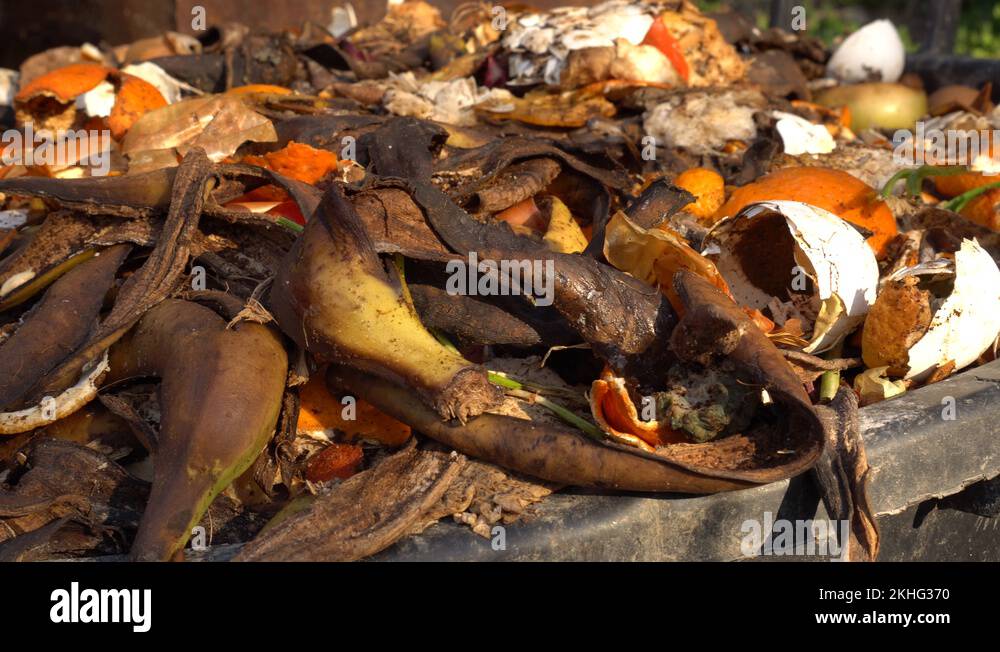 Compost bin heap Stock Videos & Footage - HD and 4K Video Clips - Alamy