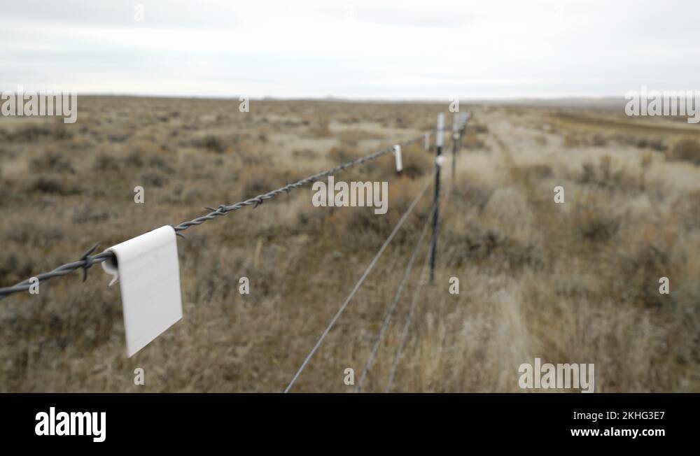Electric barbed wire fence Stock Videos & Footage - HD and 4K Video ...