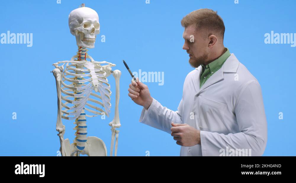 Doctor skeleton anatomy Stock Videos & Footage - HD and 4K Video Clips ...