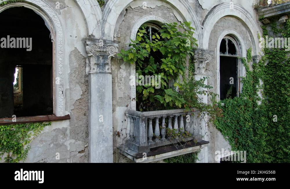 Broken glass grass Stock Videos & Footage - HD and 4K Video Clips - Alamy