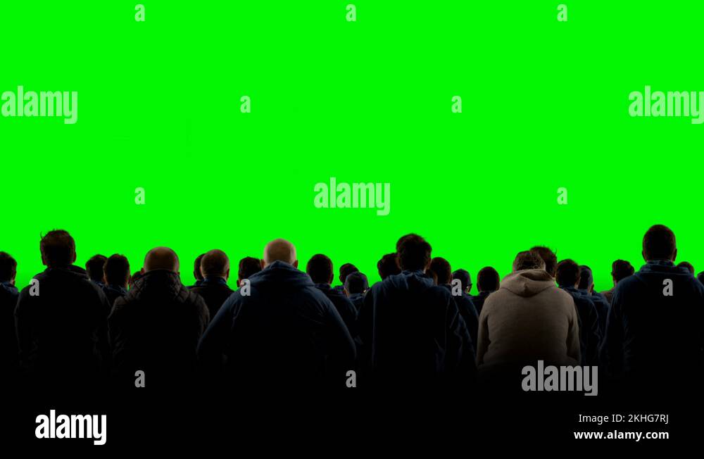 GREEN SCREEN back view group of people fans celebrating during a sport ...